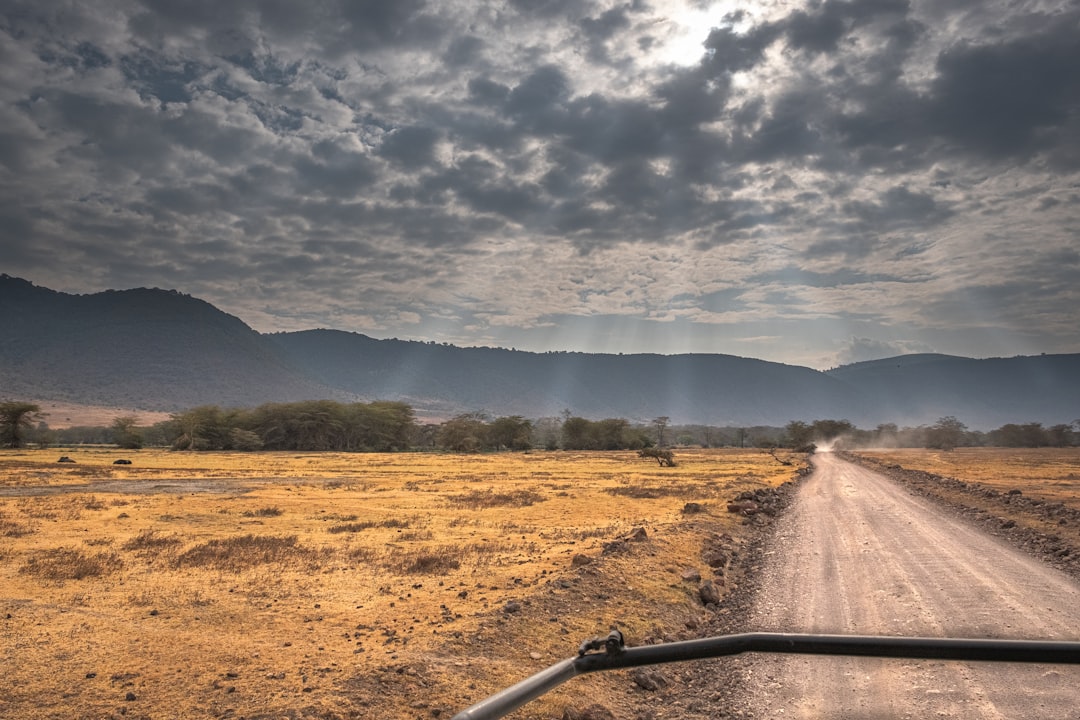 Tanzania eSIM 2026: Honest Review of the Best Plans & Providers – eSIM ...